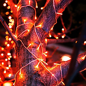 Orange String Lights, 164FT/50M 300 LED Orange Lights,8Modes,LDTX UL Certified Fairy Ambiance Lighting for Wedding,Party,Garden,Patio,Yard,Home,Parties, Halloween