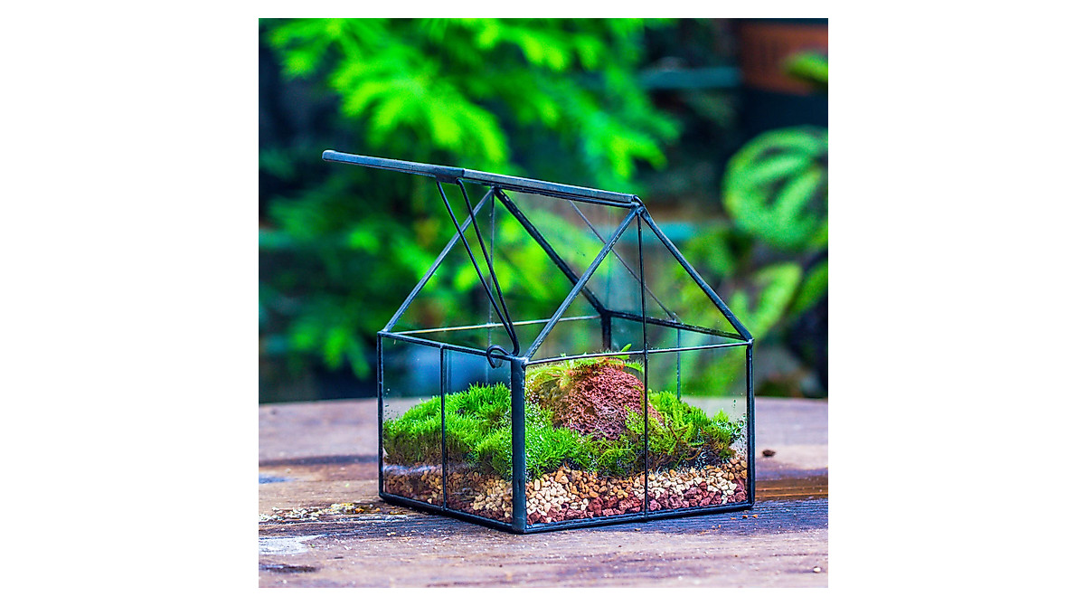 Mini Glass Geometric Terrarium - Elegant Home Decor