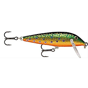 Rapala Countdown 3/16 Oz Fishing lure (Brook Trout, Size- 2)