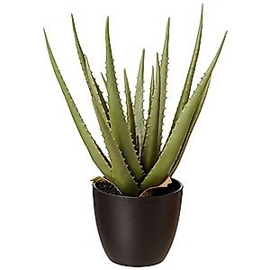 Amazon Basics Artificial Fake Agave Plant with Plastic Planter Pot , 16.9-Inch