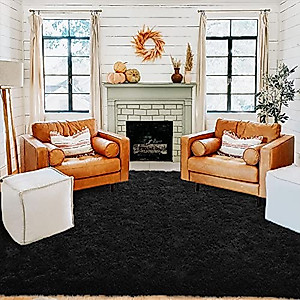 ISEAU Black Rug Carpets Soft Shaggy 4x6 Feet Rugs for Bedroom Living Room, Fluffy Area Rug Floor Rug, Fuzzy and Comfy Carpet Nursery Shag Rug for Kids Boys Room Decor