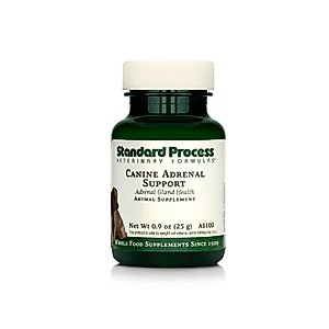 Standard Process Canine Adrenal Support - Canine Support Supplement for Adrenal Health - Nutritional Supplement for Liver & Kidney Support - Powder Dog Supplement Formula to Aid Adrenal Glands - 25 g