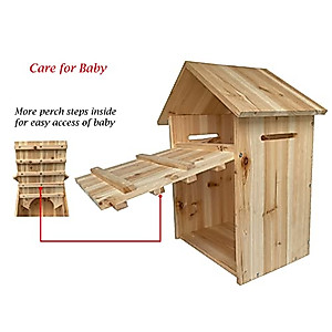 Sundia Screech Saw Whet Owl Kestrel Flicker Barn Large Big Bird Nesting Wooden Box Resident Habitant House (D100)