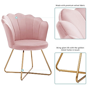 DUHOME Velvet Accent Chair，Living Room Chair with Back for Bedroom, Shell Shaped Living Room Chairs with Golden Metal Legs, Salmon Pink