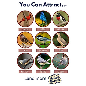 Valley Farms Cardinal Mix Wild Bird Food for Outside Feeders, Cardinal Bird Seed with Black Oil Sunflower Seeds and Safflower Seeds, Attract a Variety of Wild Birds (10 LBS)