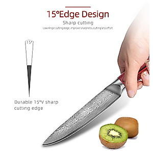 Damascus Knife 5 Inch, Damascus Kitchen Utility Knife 5 Inch, Damascus Chef Knife 5 Inch,Japanese VG10 edge, Red G10 Handle with Triple Rivets for Vegetables and Fruits in Gift Box