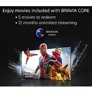 Sony XR65X90K 65" 4K Smart BRAVIA XR HDR Full Array LED TV with an Additional 1 Year Coverage by Epic Protect (2022)