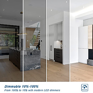 ANC PAR20 LED Bulbs with 35 Degree Beam Angle,8W LED Dimmable Spotlight Bulbs,600 Lumens 6500K Cool White Spot Light Lamp,E26 Base 4-Pack