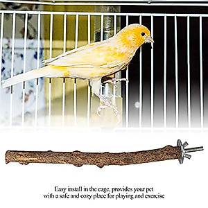 Wooden Parrot Grinding Stand Toy, 1.5~2.5 * 25cm Wooden Parrot Stand Holder Bird Chew Hanging Cage Toy Paw Grinding Bar for Small Medium Birds