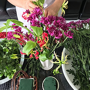 Floral Foam for Fresh and Artificial Flowers, 6 Pcs Wet and Dry Floral Foam Blocks for Wedding, Birthdays and Garden Decorations