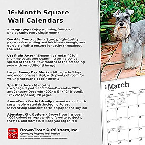 Miniature Schnauzers | 2024 12 x 24 Inch Monthly Square Wall Calendar | BrownTrout | Animals Small Dog Breeds