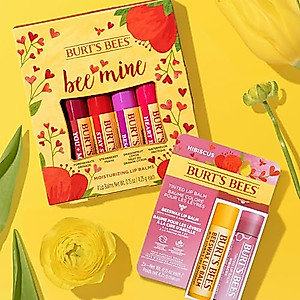 Burt's Bees Bee Mine Lip Balm Gift Set, Strawberry, Dragonfruit Lemon, Pomegranate and Watermelon, 4 Personalized Lip Balms, Pack May Vary