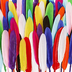 Coceca 240pcs Colorful Goose Feathers 4-6 Inches Natural Feathers for DIY Crafts