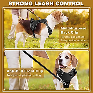 WINSEE Dog Harness No Pull, Pet Harnesses with Dog Collar, Adjustable Reflective Oxford Outdoor Vest, Front/Back Leash Clips for Small, Medium, Large, Extra Large Dogs, Easy Control Handle for Walking
