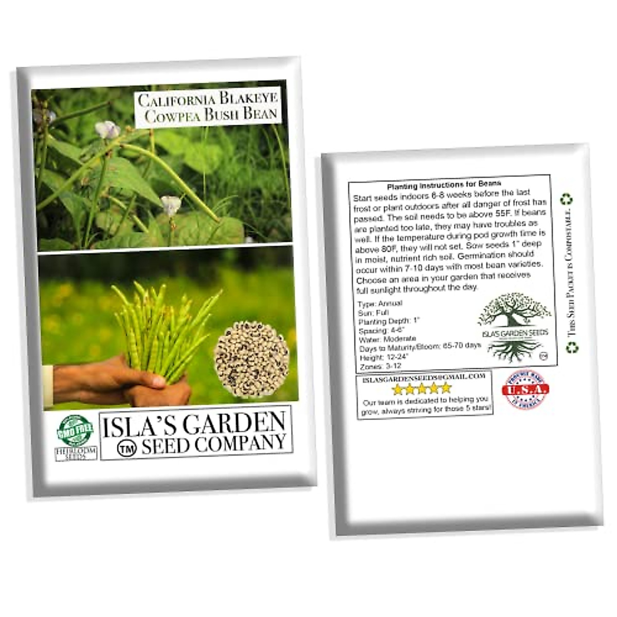 California Blackeye Cowpea Bush Bean Seeds for Planting, 50+ Heirloom Seeds Per Packet, (Isla's Garden Seeds), Non GMO Seeds, Botanical Name: Vigna Unguiculata, Great Bush Bean Variety