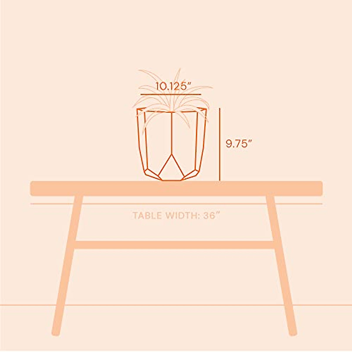 Bloem Tuxton Modern Hexagon Small Planter: 10" - Black - Matte Finish, Durable Resin, Modern Design, Optional Drainage Holes, for Indoor and Outdoor Use, Gardening, 2.7 Gallon Capacity