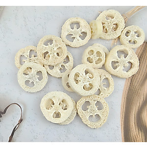 50Pcs Natural Loofah Slice of 3.15inch, Reusable Natural Loofah Cuts for Cleaner Sponge Scrubber, Facial Soap Holder and DIY Customize Soap Tools, with 3Pcs Exfoliating Loofah Pad and 1 Storage Bag