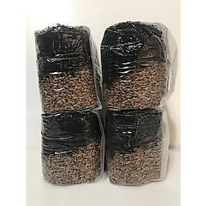 Mushroom Grow Kit - Magic All in One Mushroom Grow Bags - 4 Pack