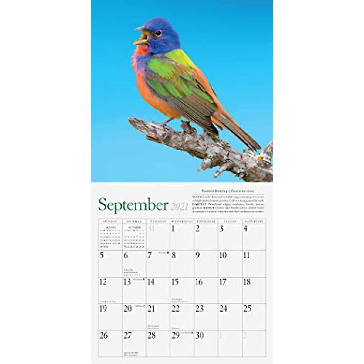 Audubon Songbirds Mini Wall Calendar 2021