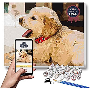 Texture of Dreams Personalized Paint by Numbers Kit for Adults, Acrylic Painting Oil Painting on Framed & Stretched Canvas, Customized DIY Paint by Numbers Set Painting for Beginners (12" x 16")