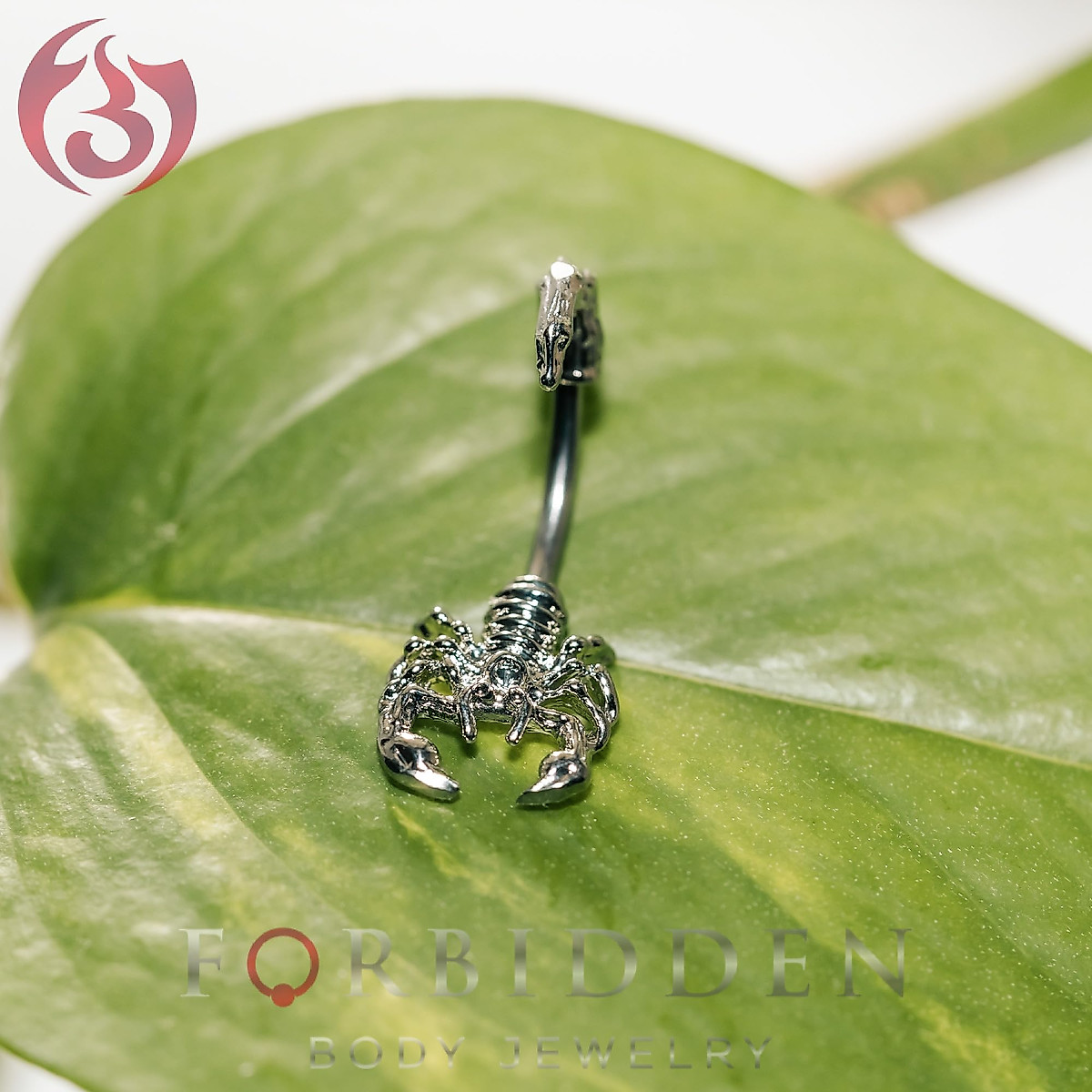 Forbidden Body Jewelry Belly Button Rings Surgical Steel 14G Top Down Scorpion Belly Ring