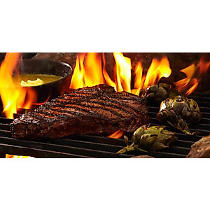 Midwest Hearth Charcoal Starters for BBQ Grill and Barbecue Smokers (48 Squares)