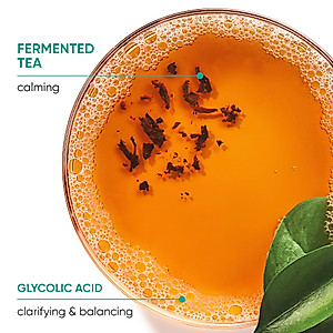 BIOLAGE Scalp Sync Anti-Dandruff Shampoo | Targets Dandruff, Controls The Appearance of Flakes & Relieves Scalp Irritation | Paraben-Free | Vegan