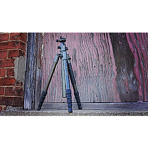 Vanguard VEO 2 265CB Carbon Fiber Travel Tripod with VEO 2 BH-50 Ball Head for Sony, Nikon, Canon, Fujifilm Mirrorless, Compact System Camera (CSC), DSLR