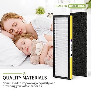 Nisreen Filter C FLT5000 Filter Compatible with Germ-Guardian True Hepa Filter Air Puri-fier AC5250PT AC5000E AC5300B AC5350W, 2 HEPA and 6 Pre-Filter