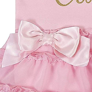 Gerber Baby Girls' Bodysuit Skirt, Tutu Cute, 3-6 Months
