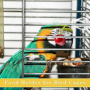 6 Pieces Bird Cage Food Holder Parrot Fruit Vegetable Clips Bird Cage Feeder Clip for Budgie Parakeet Cockatoo Macaw Cockatiel Conure
