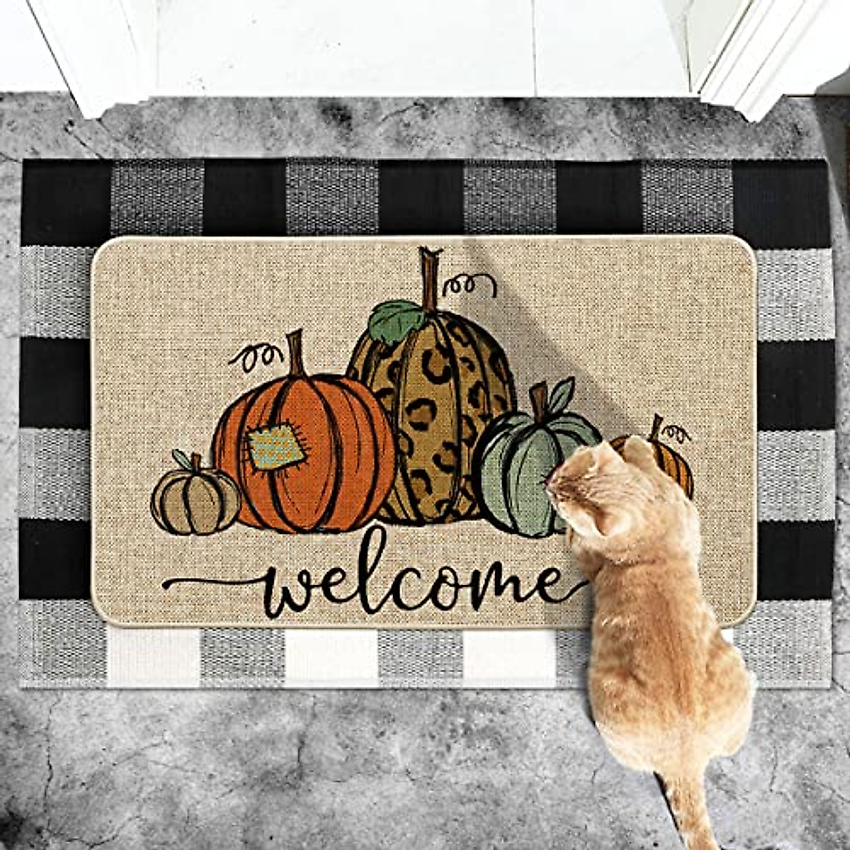 Artoid Mode Pumpkin Welcome Decorative Doormat, Fall Thanksgiving Rustic Yard Floor Mat Switch Mat for Indoor Outdoor 17 x 29 Inch