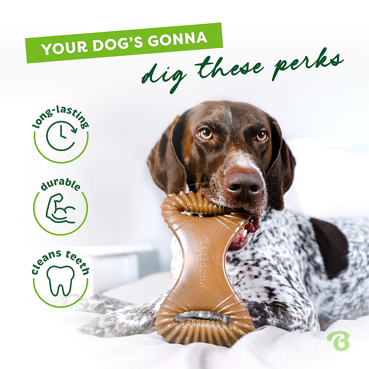 Benebone Dental Durable Dog Chew Toy for Aggressive Chewers, Real Bacon, Made in USA, Large