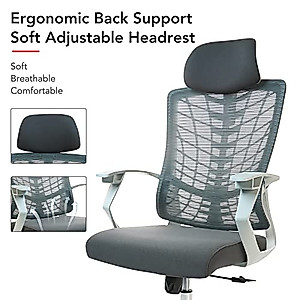 CLATINA Ergonomic High Swivel Executive Chair with Adjustable Height Fabric Headrest Lumbar Support and Mesh Backrest for Home Office, Grey 1 Pack