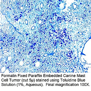 Toluidine Blue Solution (1%, Aqueous), 1000ml