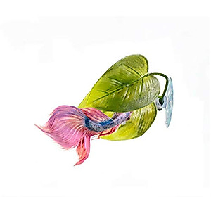 3 Pack Betta Fish Hammock Plant Leaf Pad Fish Spawning Grounds Breeding Resting Bed