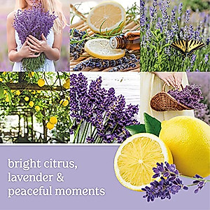 Yankee Candle Fragrance Spheres, Sage & Citrus & Fragrance Spheres, Lemon Lavender