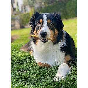 Fieldcrest Farms Nothing to Hide Natural Rawhide Alternative Twist Stix for Dogs - 3 Pack (30 Sticks) Premium Grade Easily Digestible Chews - Great for Dental Health (Beef, Stix)…