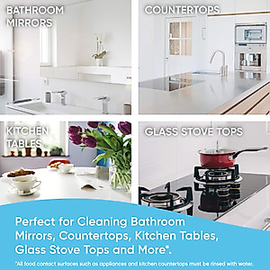 Windex Multi-Surface Cleaner and Disinfectant Spray Bottle, Scent, Citrus Fresh, 23 Fl Oz (Pack of 1)