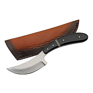 Rite Edge Hunting Knife | Birdwing Full Tang Skinner Buffalo Horn Handle + Leather Sheath