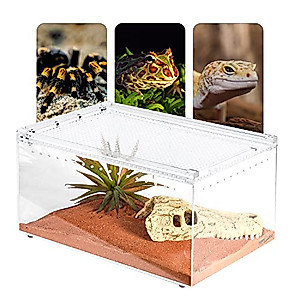 REPTI ZOO Magnetic Acrylic Breeding Enclosure, 12x8x6 Inch Flat Long Reptile Breeding Box Terrarium Cage for Tarantula Scorpion Sling Isopods Lizards Roach Invertebrates Insect Mantis