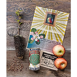 Apple Tree | Seed Grow Kit | The Jonsteen Company