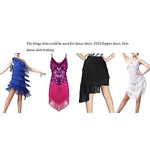 Lauthen.S 10 Yards of 6" Chainette Fringe Trim Tassel Sewing Trim for DIY Craft Latin Dress Lamp Shade Decoration (6 Inches x 10 Yards, Hot Pink)