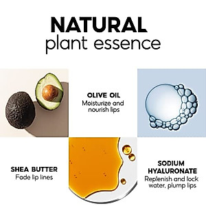 CARSLAN 4pcs Lustrous Lipstick Red Lip Gift Box Cream Finish Long-Lasting Hydrating Lipstick Non-Sticky for Women