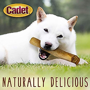 Cadet Premium Grade Beef Hide for Dogs, Long Lasting Rawhide Retriever Rolls, Single Ingredient Dog Chews, Peanut Butter Flavor, 10 Inch (4 Count)