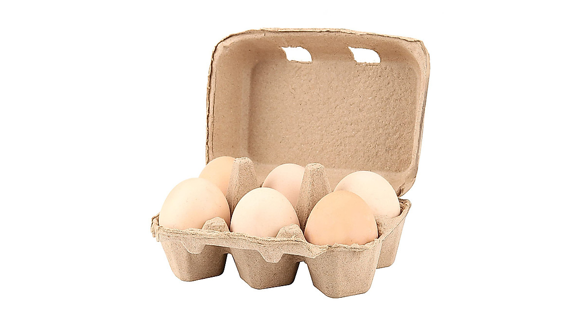 40 Pack 6 Egg Cartons - Eco-Friendly Pulp Fiber Egg Holders