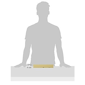 Drive Medical 460900600 Hand Control for Bellavita Bath Lift