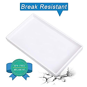 -Seed Sprouting Jar Kit| 2 Wide Mouth Quart Sprout Mason Jars with 316 Stainless Steel Lids,Tray,Stand| Sprouter for Growing Broccoli,Alfalfa (White)