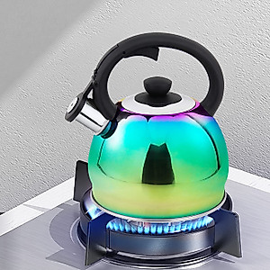 HausRoland Tea Kettle 2.1 Quart Stainless Steel Stove Top Induction Modern Kettle Teapot (GS-04048-A-781B, Rainbow)