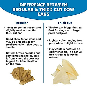 Best Bully Sticks All-Natural Thick-Cut Cow Ears for Small, Medium and Large Dogs - 100% Natural Free-Range Grass-Fed Beef Single Ingredient High Protein, Highly Digestible Dog Chew Treats - 12 Pack